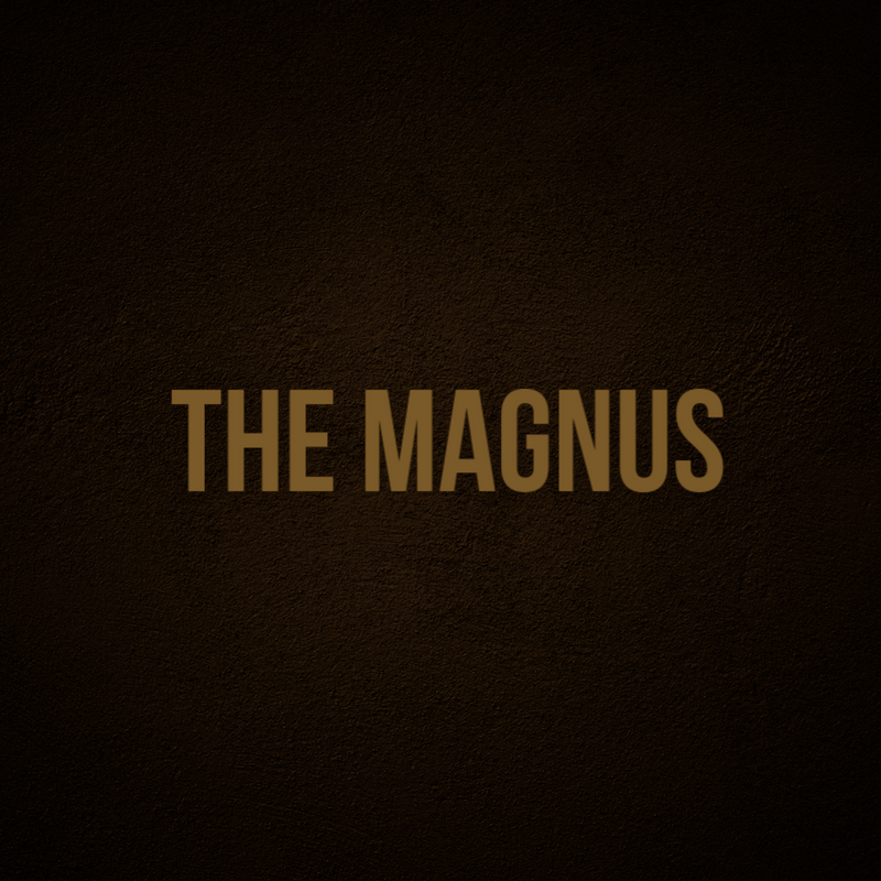 The Magnus Beard Kit – Ensley Beauty Supply